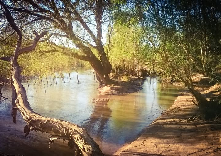 Epitaph – Stories of Oz