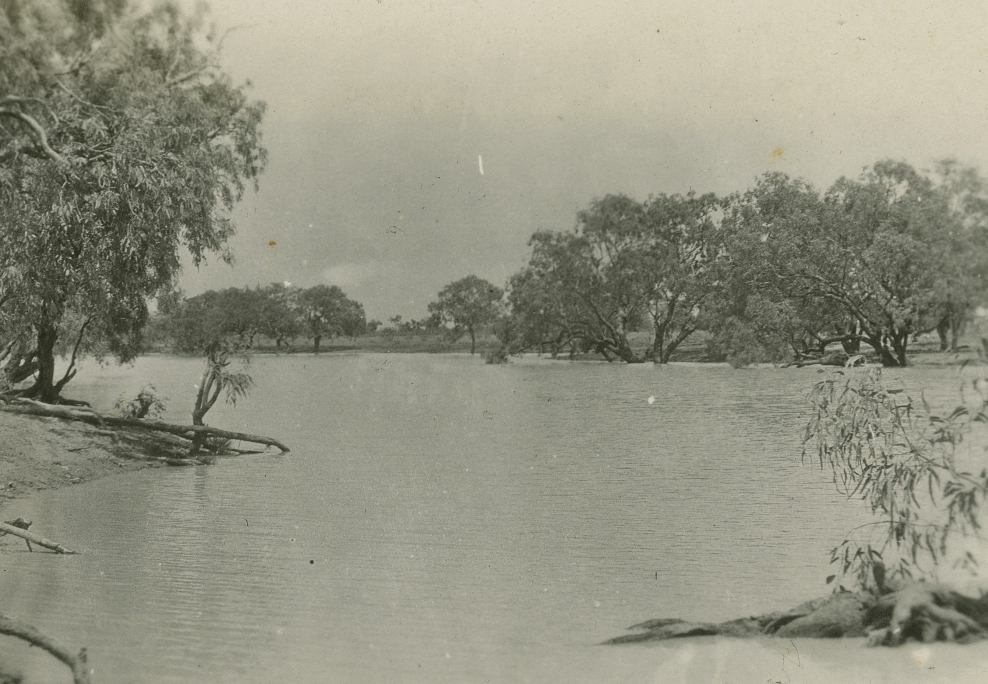 Chapter Fourteen – The Playford River – Stories of Oz